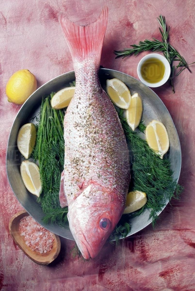 A red snapper ready to roast - Stock Photo - Dissolve