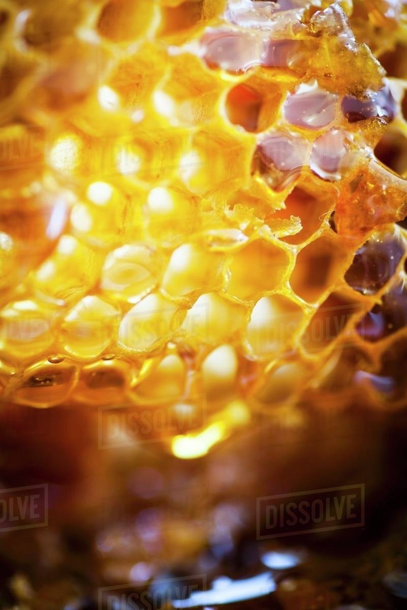Close-up of honeycomb - Royalty-free Stock Photo | Dissolve