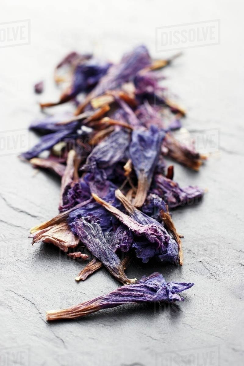 Dried borage flowers on a slate surface - Royalty-free Stock Photo ...