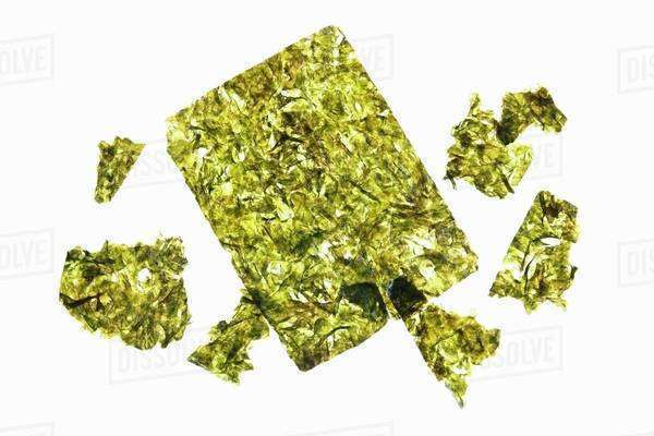 Algae sheets - Royalty-free Stock Photo | Dissolve