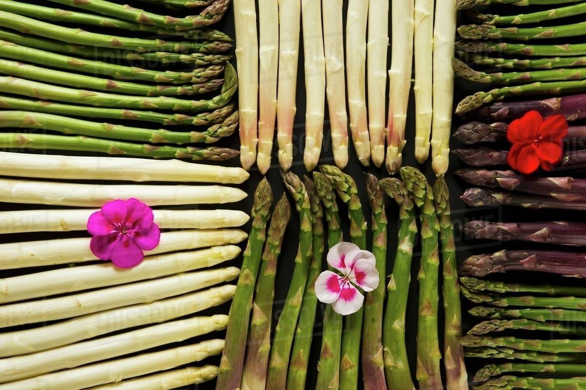 An arrangement of various different types of asparagus (seen from above ...