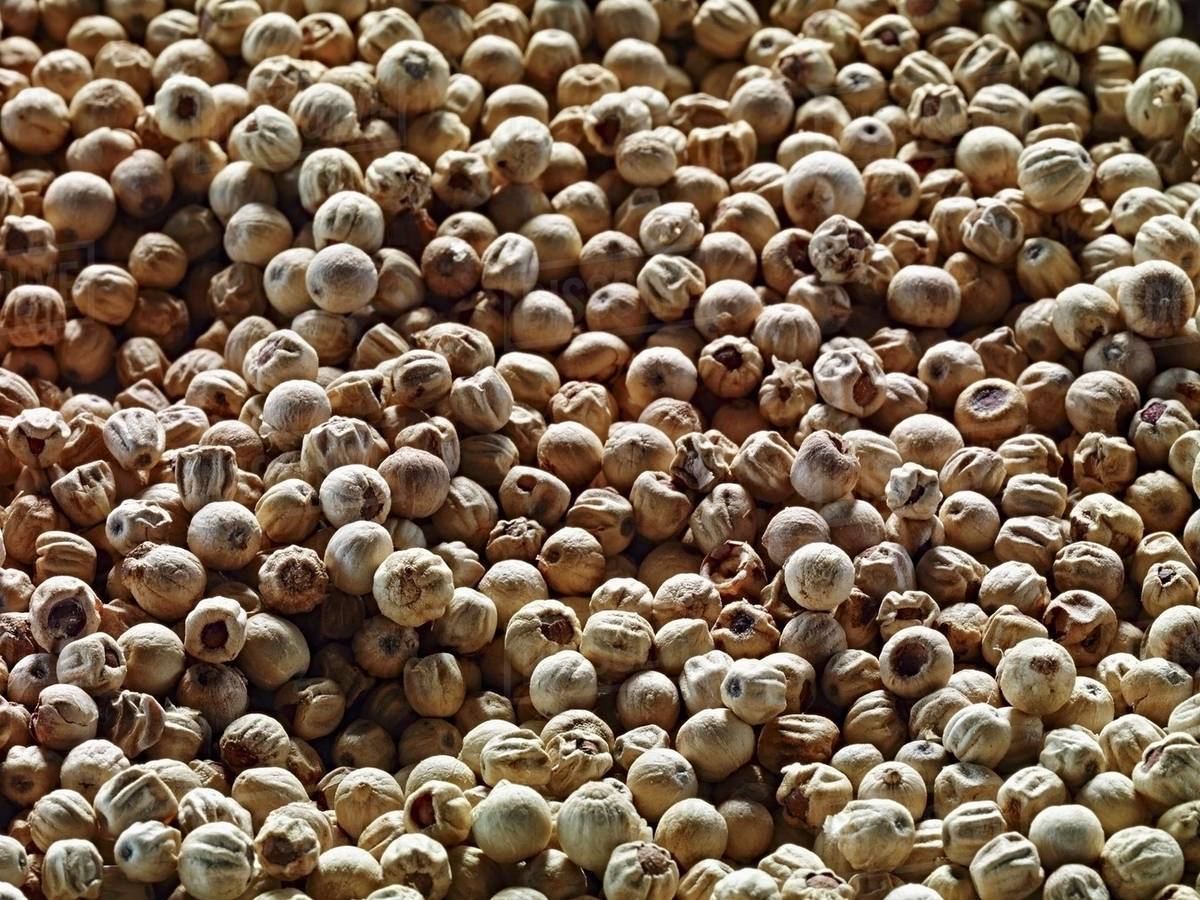 White peppercorns - Royalty-free Stock Photo | Dissolve