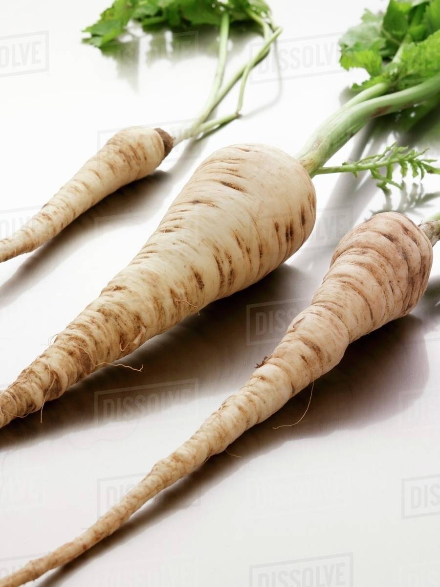 Parsnips - Royalty-free Stock Photo | Dissolve
