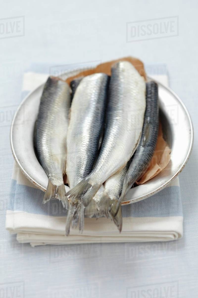 Fresh herring - Royalty-free Stock Photo | Dissolve