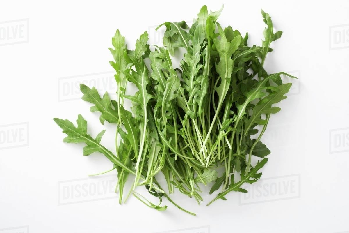 Fresh rocket - Royalty-free Stock Photo | Dissolve