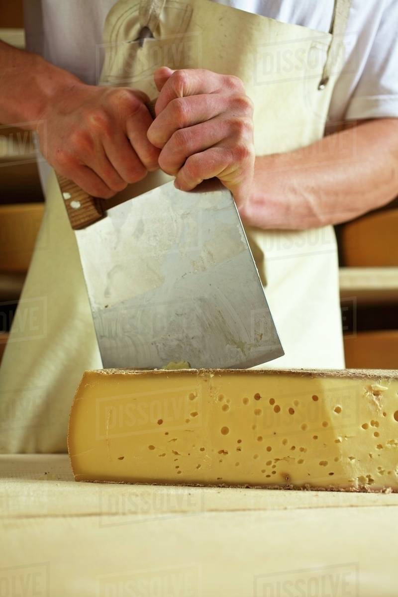 A dairyman cutting mountain cheese (Bregenzerwald, Vorarlberg, Austria ...
