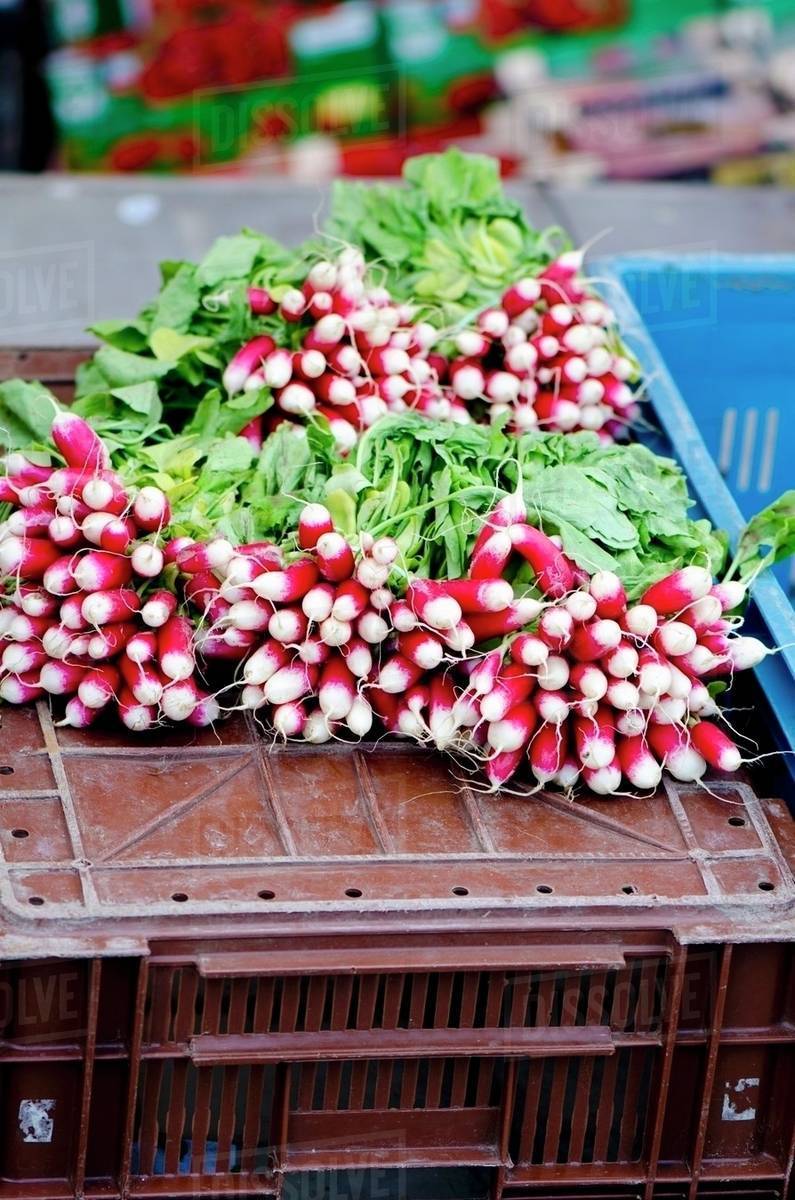 Bunches of radishes on a crate at a market - Stock Photo - Dissolve