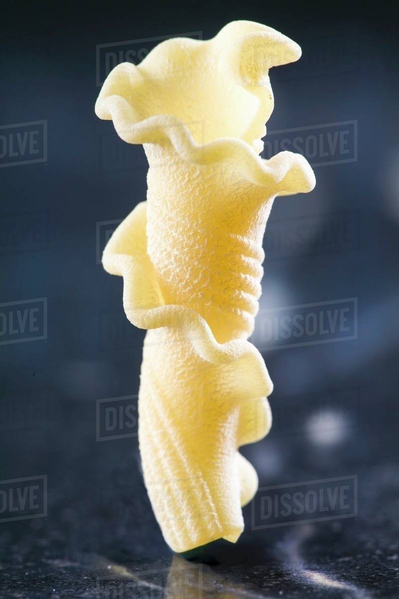 A piece of fresh Gigli Toscani pasta standing on a dark marble surface ...