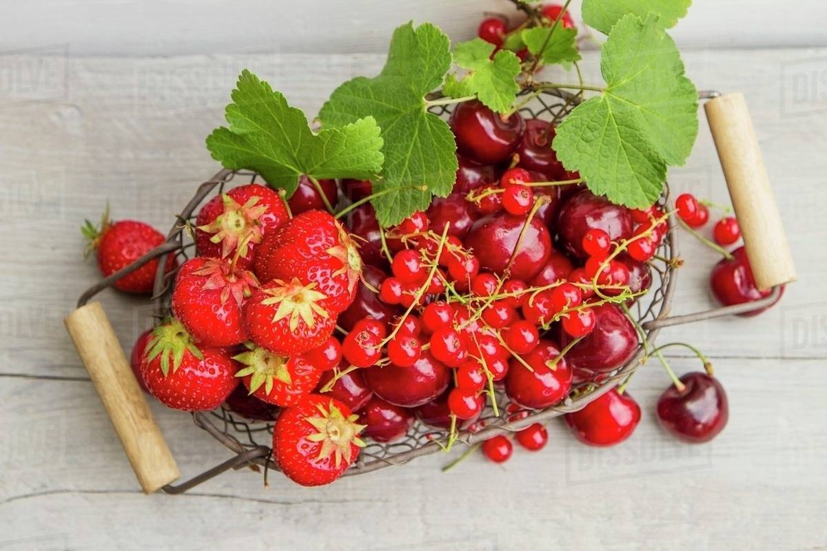An arrangement of red summer fruits (seen from above) - Royalty-free ...