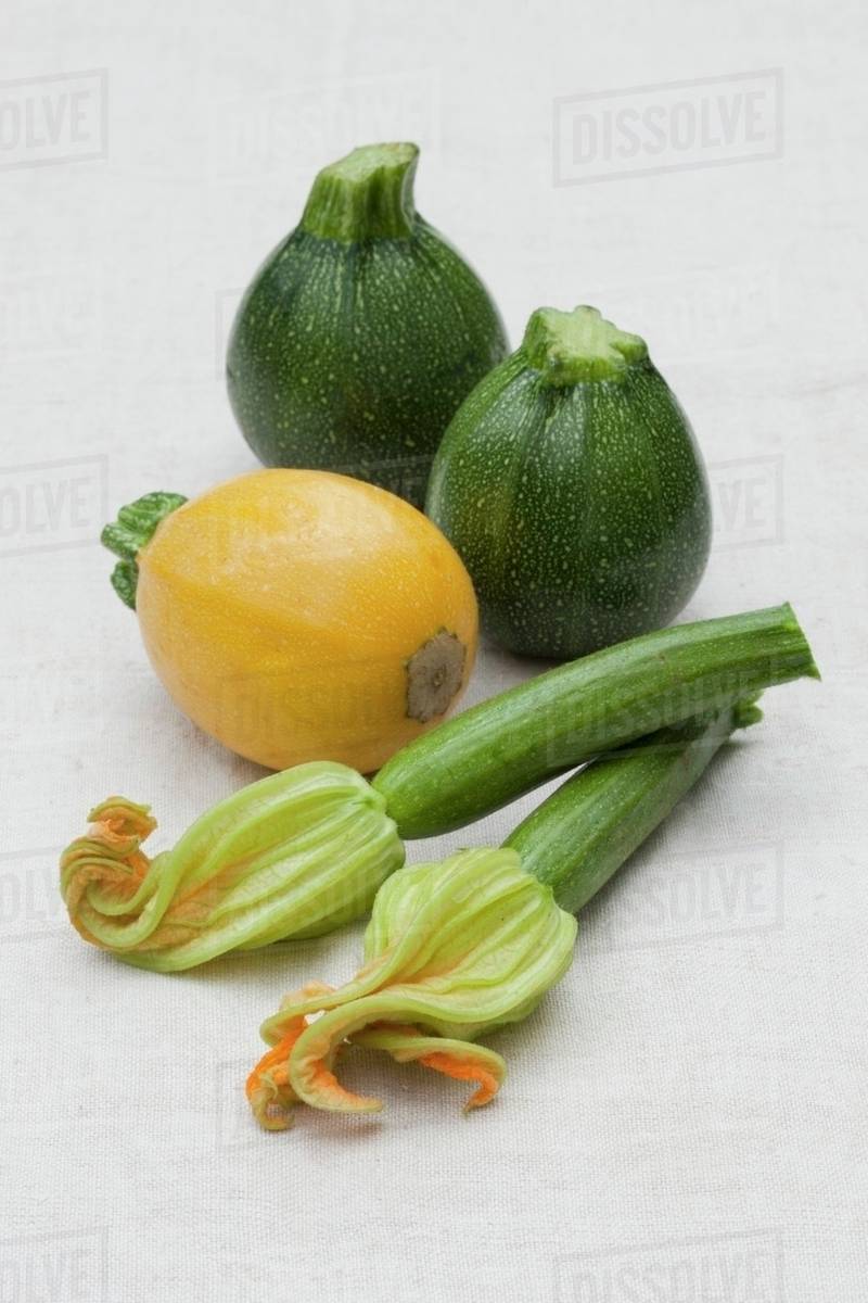 Round green and yellow courgettes and long courgettes with flowers ...