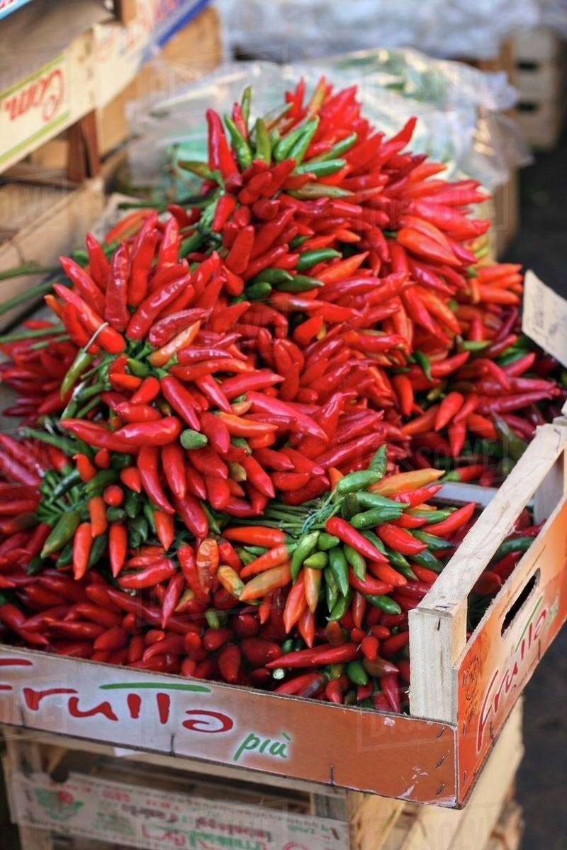Bunches of chilli peppers at a market - Royalty-free Stock Photo | Dissolve