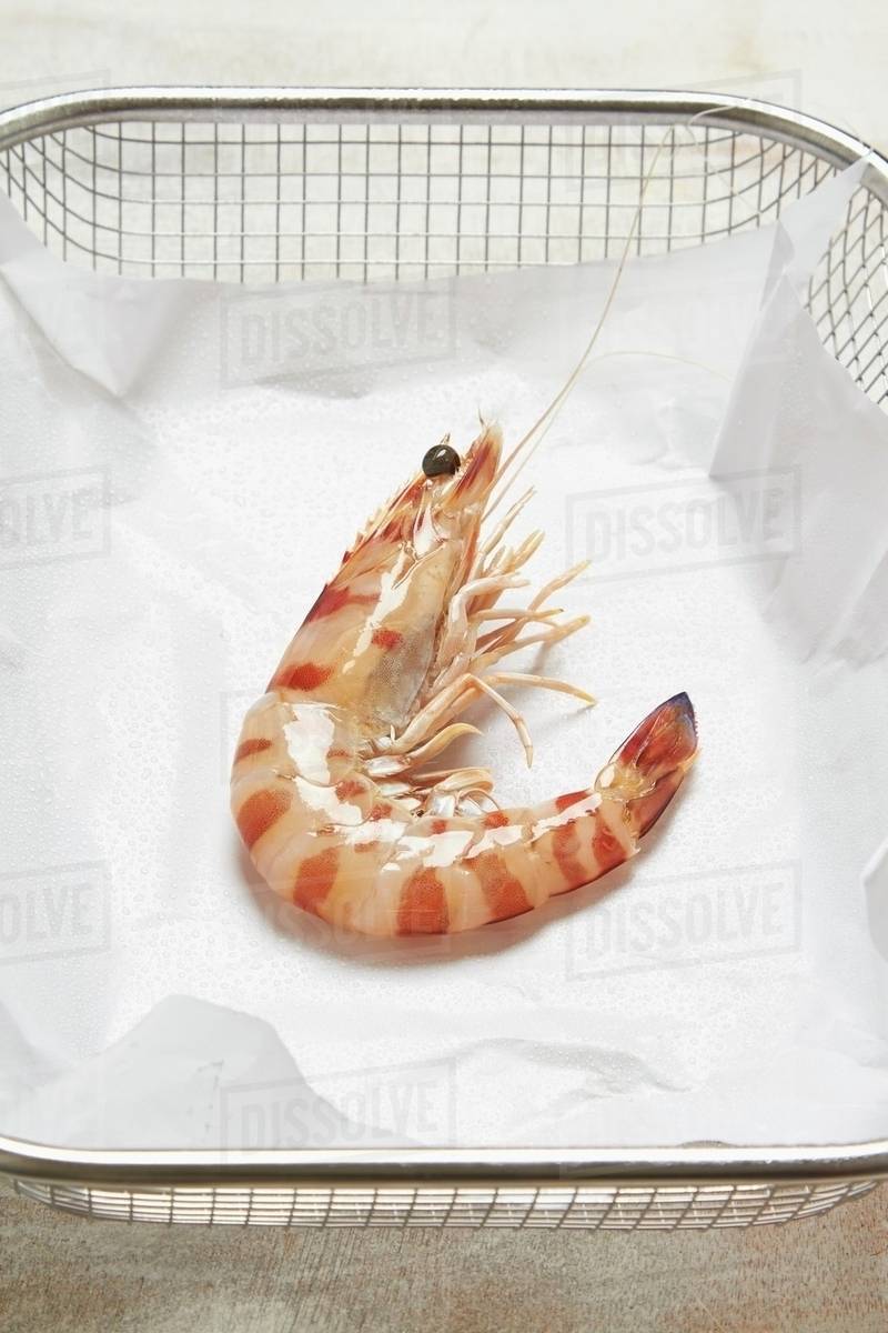 A king prawn in a paper-lined wire basket - Stock Photo - Dissolve