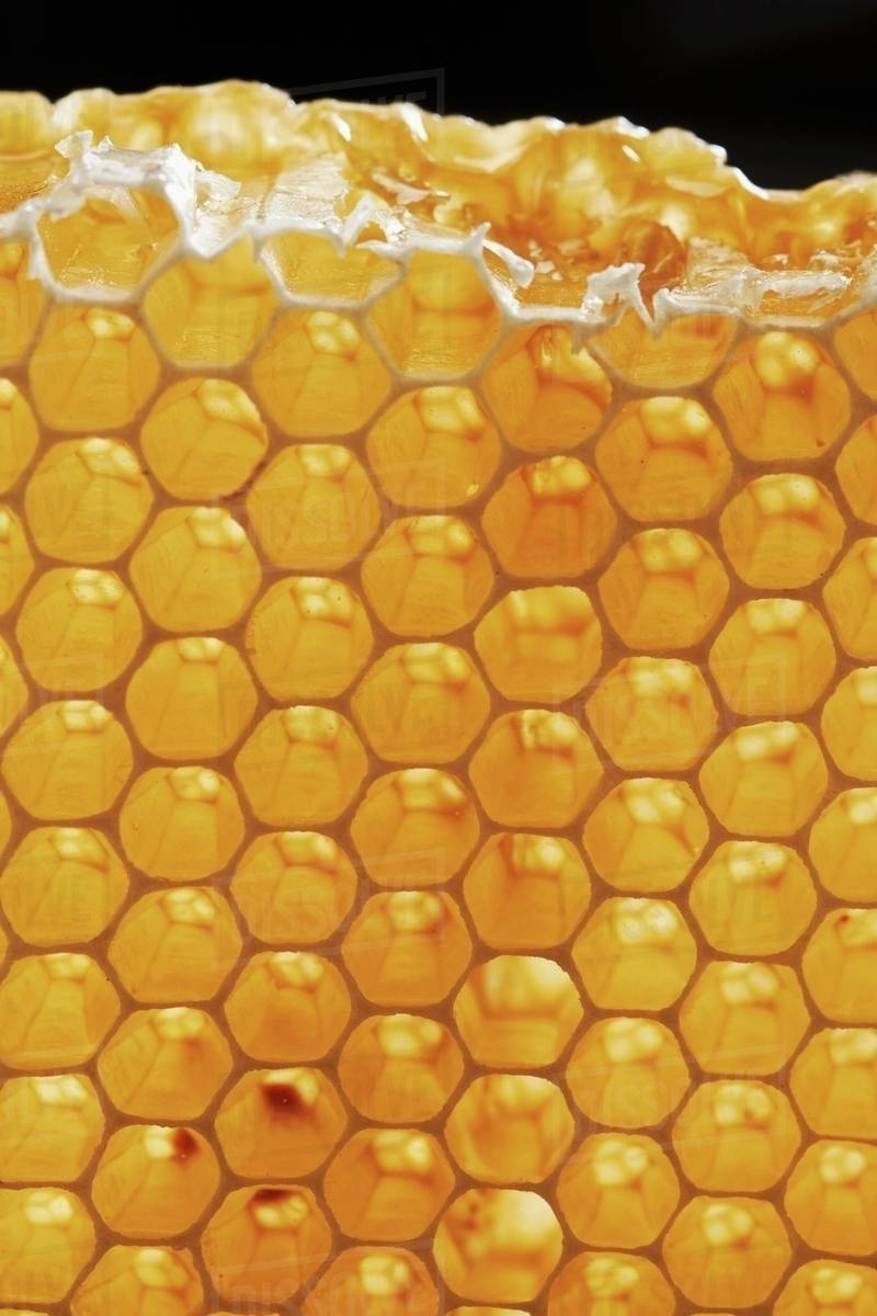 A golden honeycomb - Royalty-free Stock Photo | Dissolve