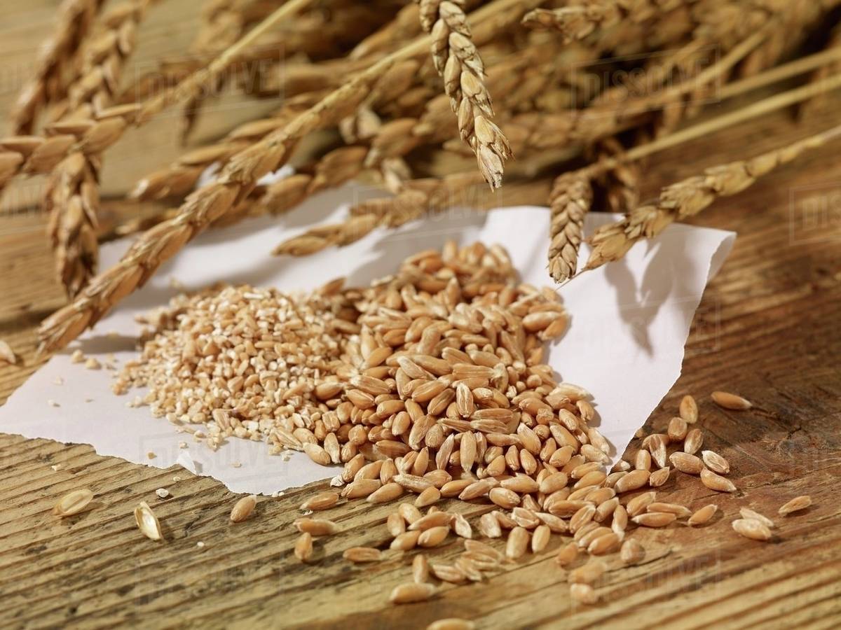 Ears of spelt, spelt seeds and spelt groats on a wooden surface - Stock ...