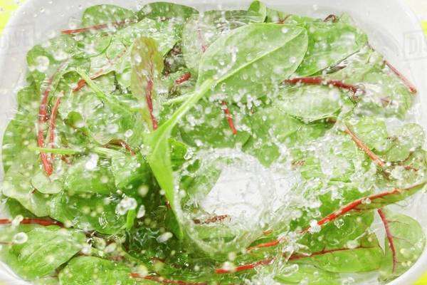 Spinach in water - Royalty-free Stock Photo | Dissolve