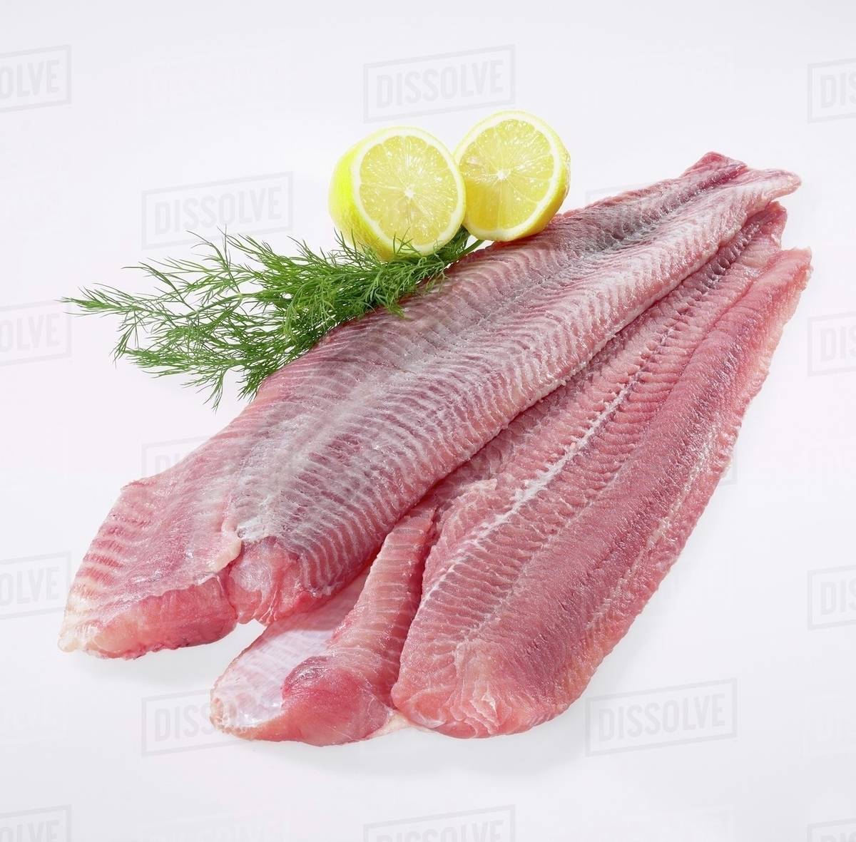 Fresh catfish fillets - Royalty-free Stock Photo | Dissolve
