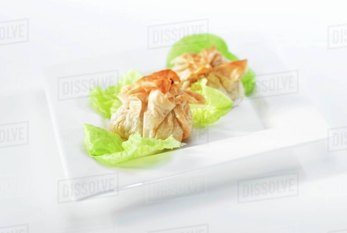 Stuffed filo pastry parcels on lettuce leaves - Stock Photo - Dissolve