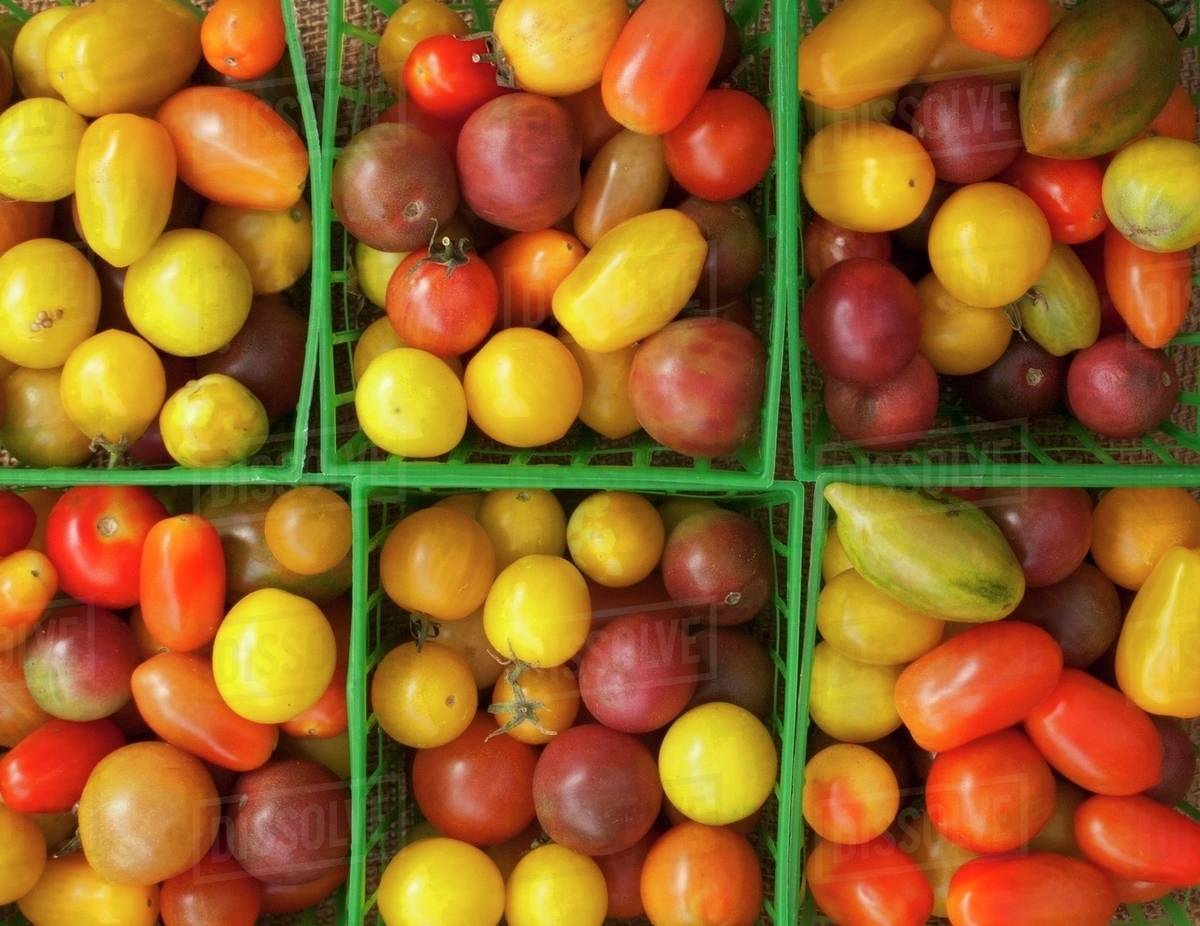 Various types of mini heirloom tomatoes in plastic baskets - Stock ...