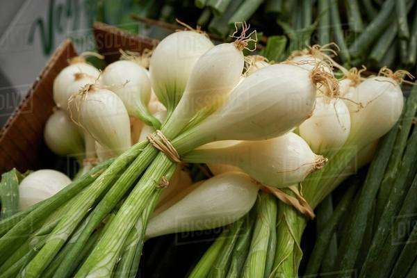 Bundles of spring onions - Royalty-free Stock Photo | Dissolve