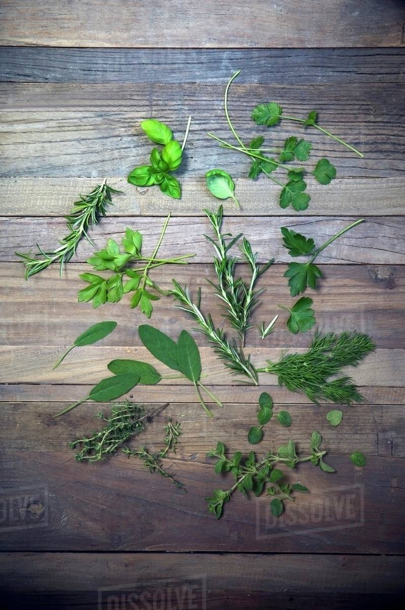 Various herbs (parsley, dill, oregano, thyme, sage, rosemary, lovage ...