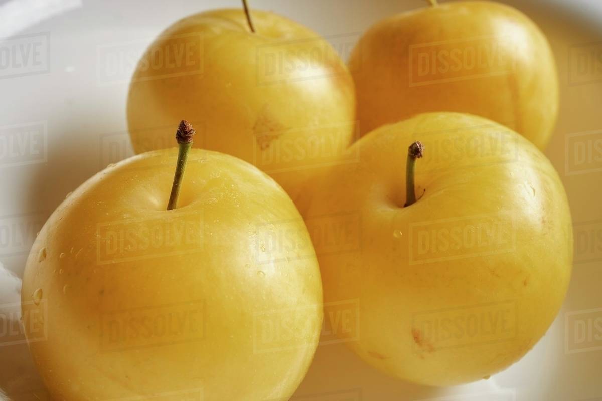 Yellow, Japanese shiro plums - Royalty-free Stock Photo | Dissolve