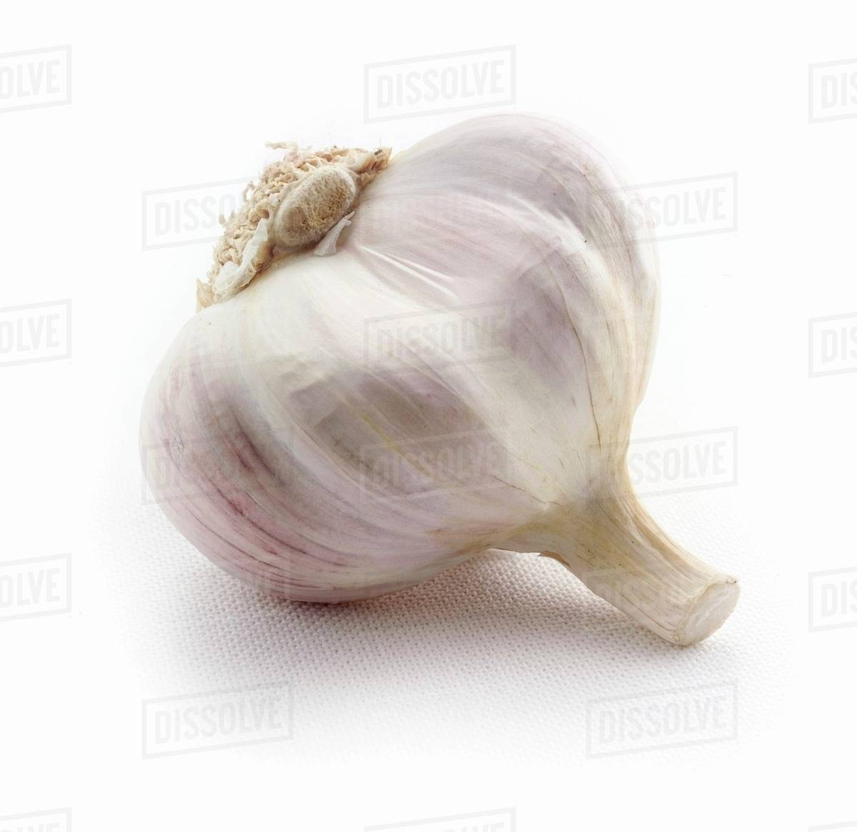 A whole garlic - Stock Photo - Dissolve