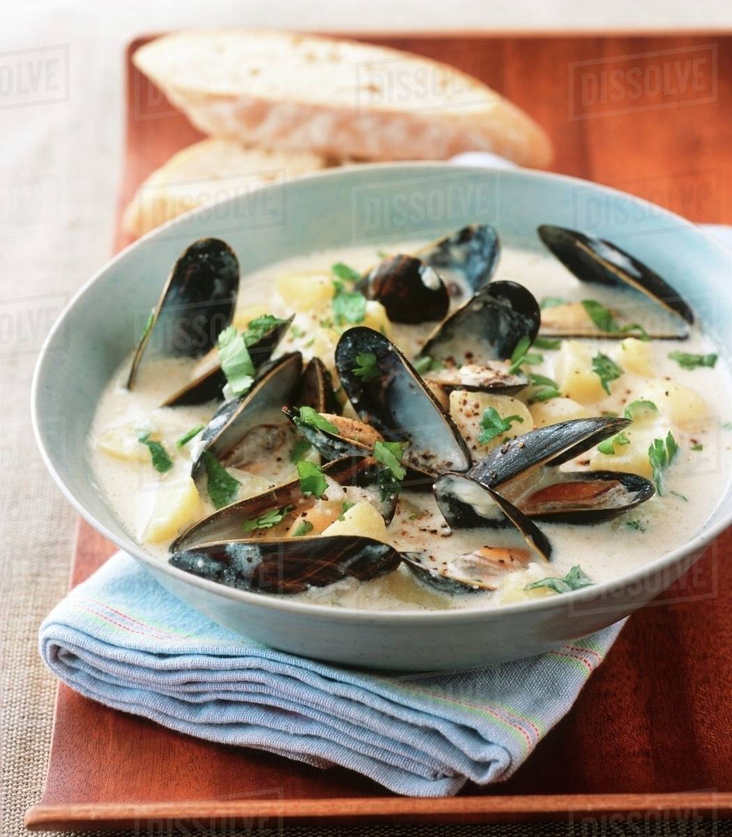 Mussel chowder - Stock Photo - Dissolve
