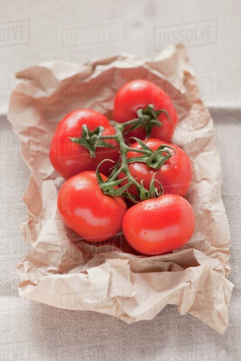 Fresh tomato trusses on paper - Royalty-free Stock Photo | Dissolve