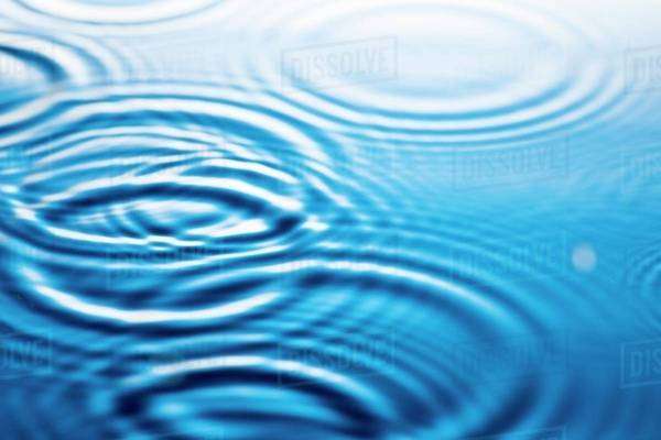 Concentric circles on the surface of water - Stock Photo - Dissolve