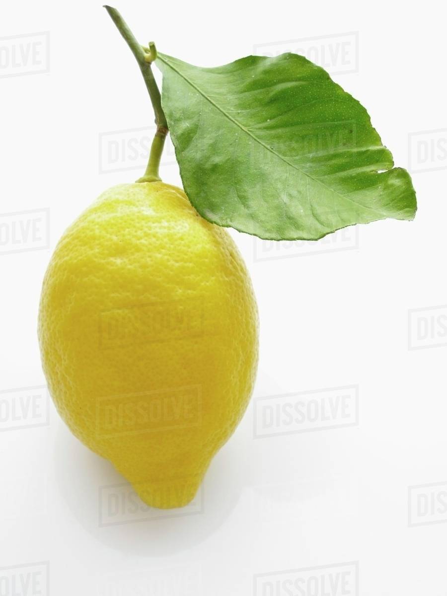 A lemon with leaf - Royalty-free Stock Photo | Dissolve