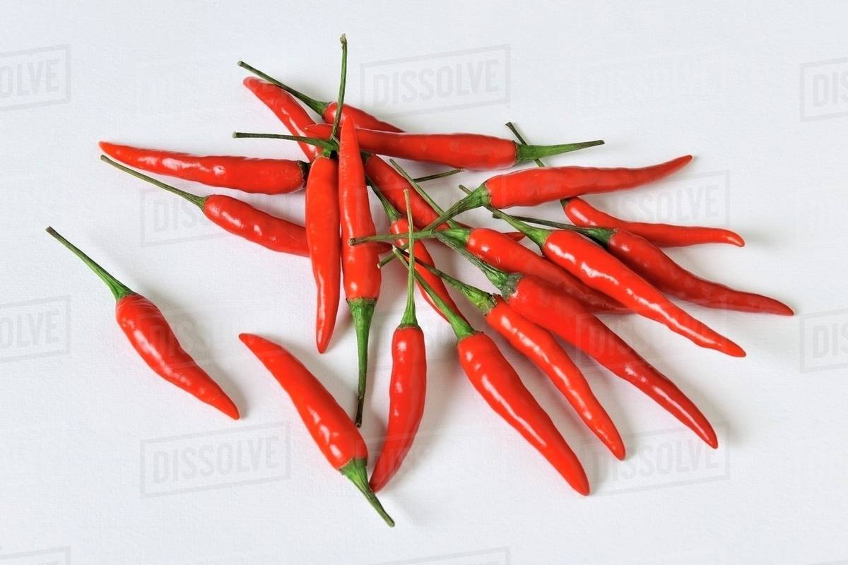 Fresh red chillies - Royalty-free Stock Photo | Dissolve