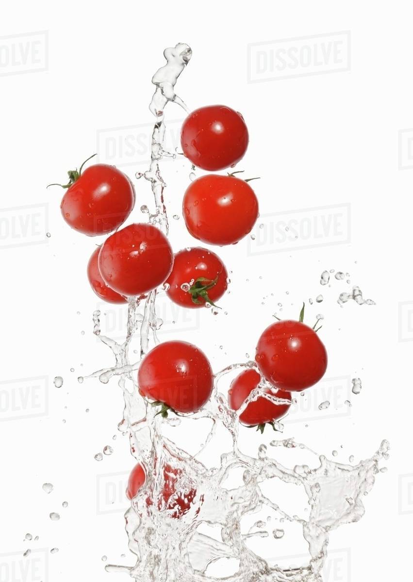 Washing tomatoes - Royalty-free Stock Photo | Dissolve
