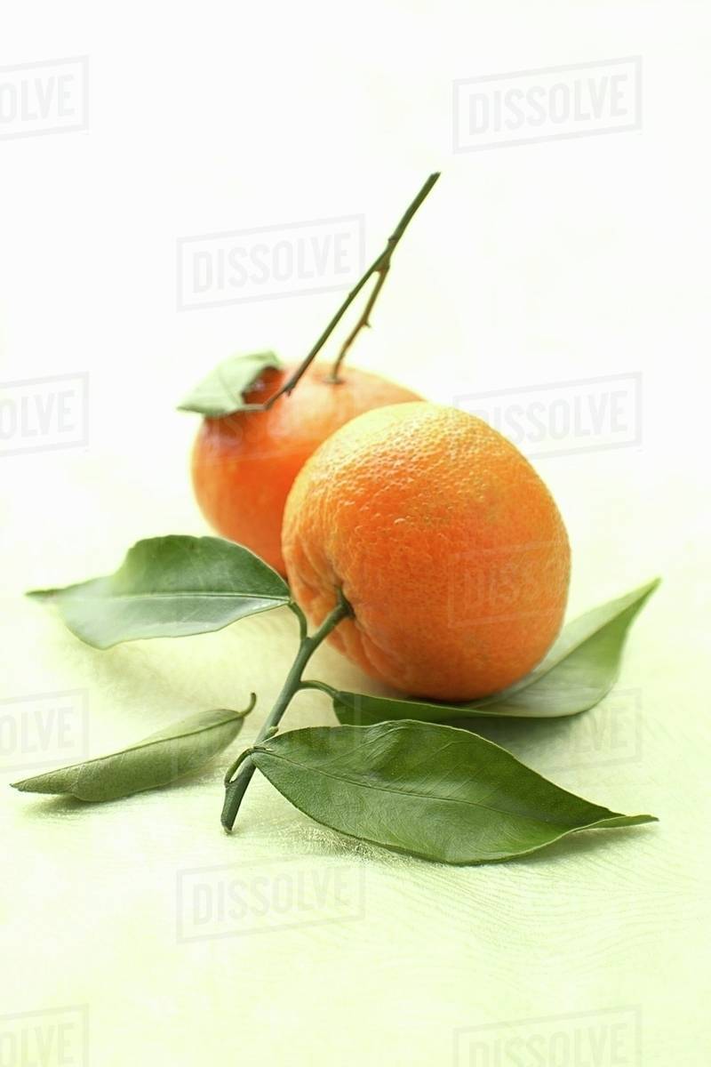 Two tangerines - Royalty-free Stock Photo | Dissolve
