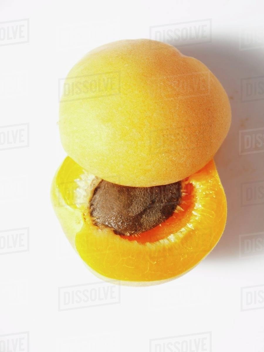 An apricot cut in half to reveal the stone - Royalty-free Stock Photo ...