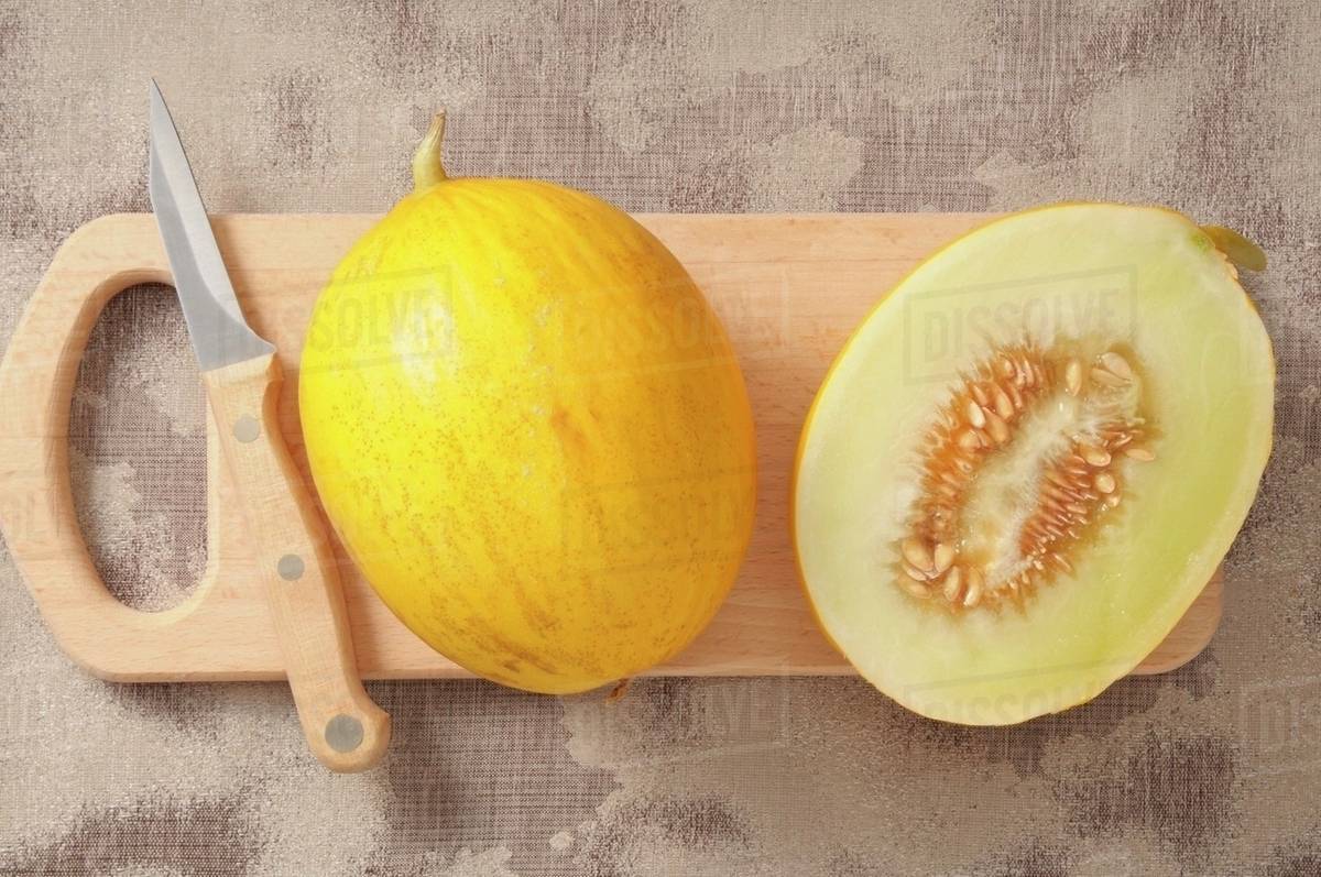 Yellow melon - Royalty-free Stock Photo | Dissolve