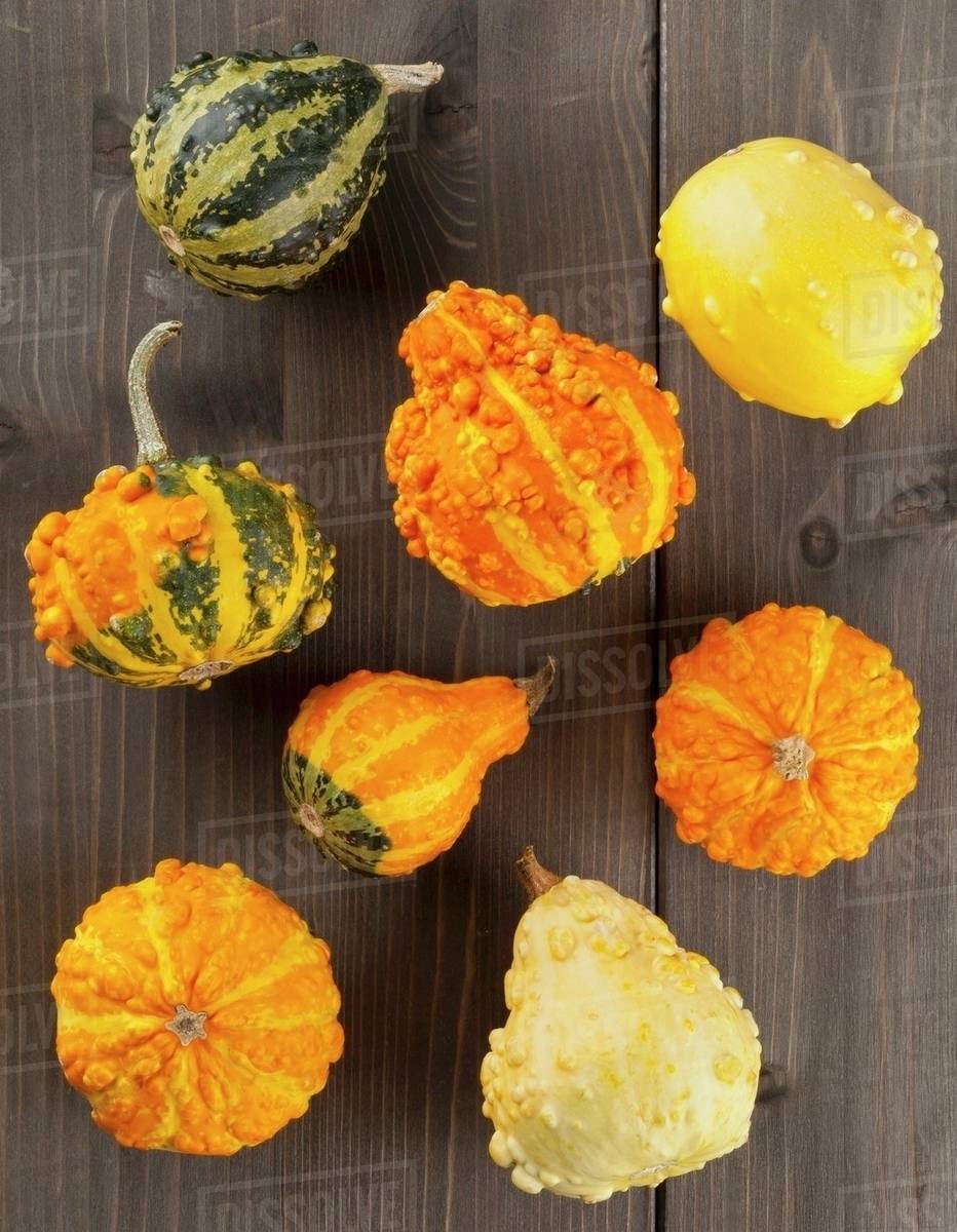 Assorted varieties of ornamental squash on a wooden table - Royalty ...