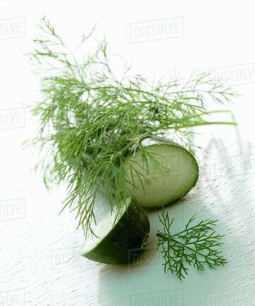 Fresh dill - Stock Photo - Dissolve