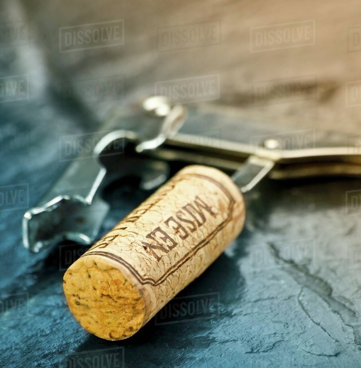 A wine cork on a corkscrew - Stock Photo - Dissolve