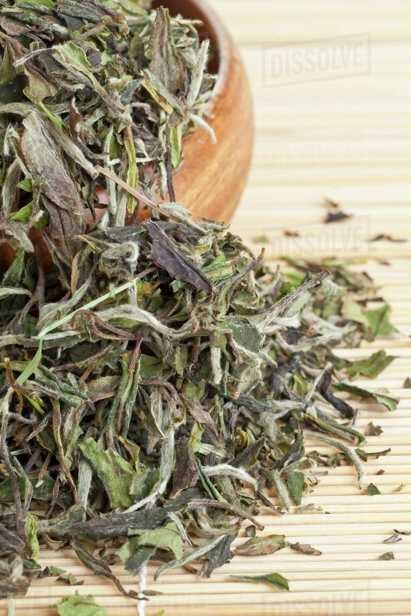 White tea leaves - Stock Photo - Dissolve