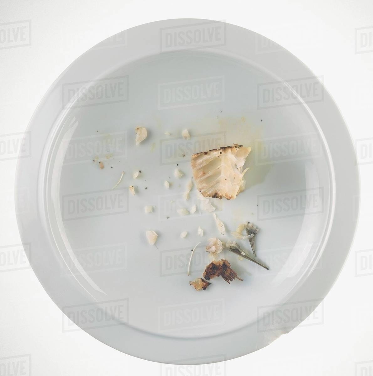 The remains of fish on a plate (seen from above) - Stock Photo - Dissolve