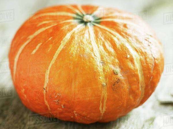 An orange pumpkin - Stock Photo - Dissolve
