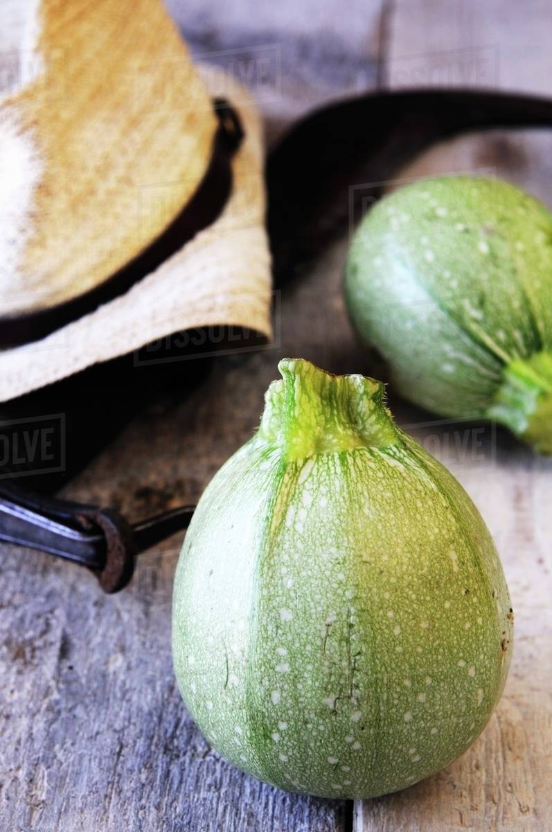 Round courgette - Royalty-free Stock Photo | Dissolve