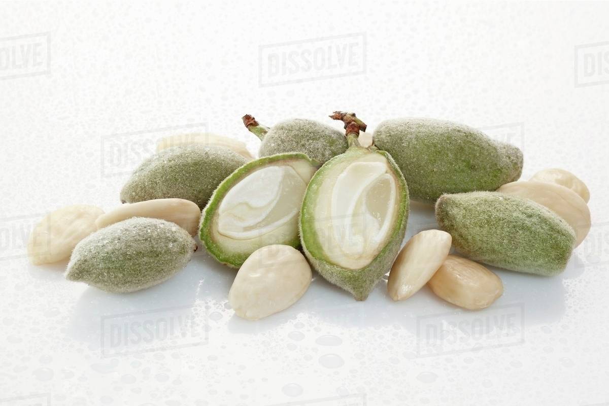 Raw almonds and almond hulls - Stock Photo - Dissolve