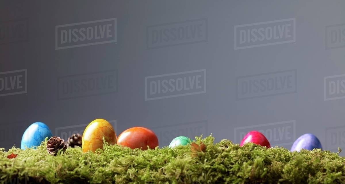 Colourful Easter eggs on moss - Stock Photo - Dissolve