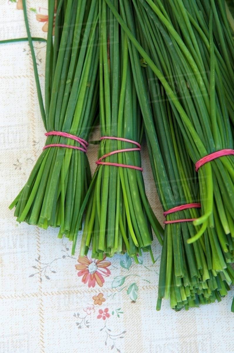 Bundles of chives - Royalty-free Stock Photo | Dissolve