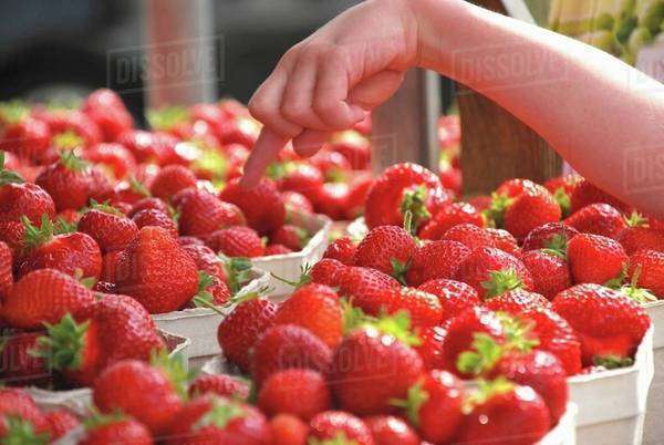 A child's hand pointing to strawberries in paper punnets - Royalty-free ...