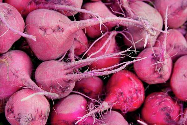 Fresh radishes - Royalty-free Stock Photo | Dissolve