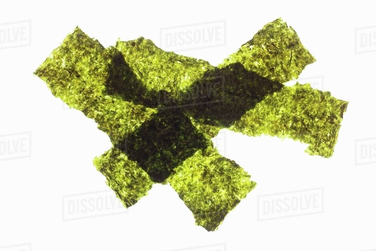 Strips of seaweed - Royalty-free Stock Photo | Dissolve