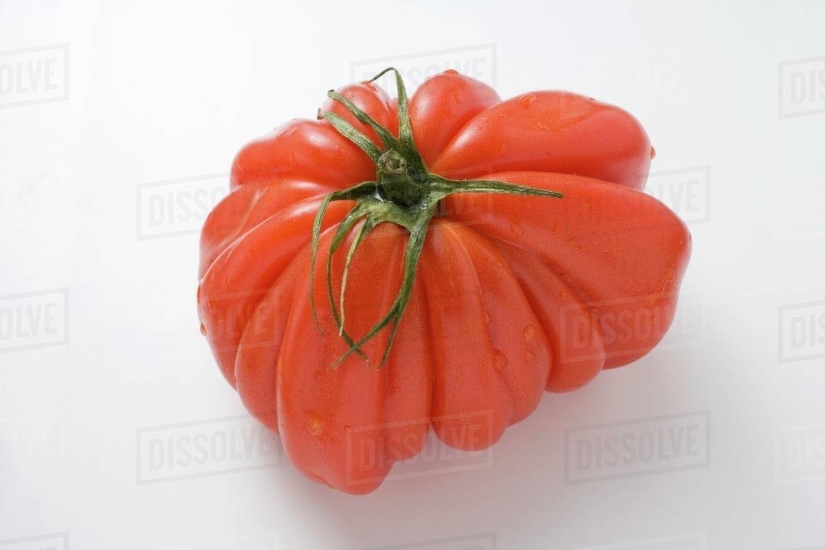 An oxheart tomato - Stock Photo - Dissolve