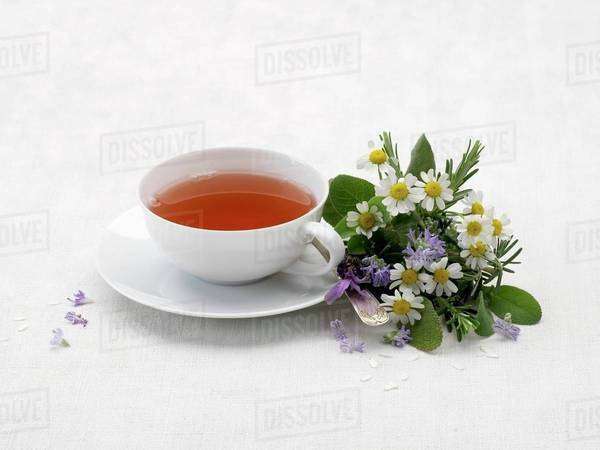 Herbal tea - Royalty-free Stock Photo | Dissolve